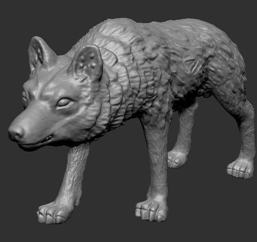 wolf model 3D model | CGTrader