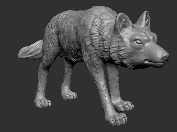wolf model 3D model | CGTrader