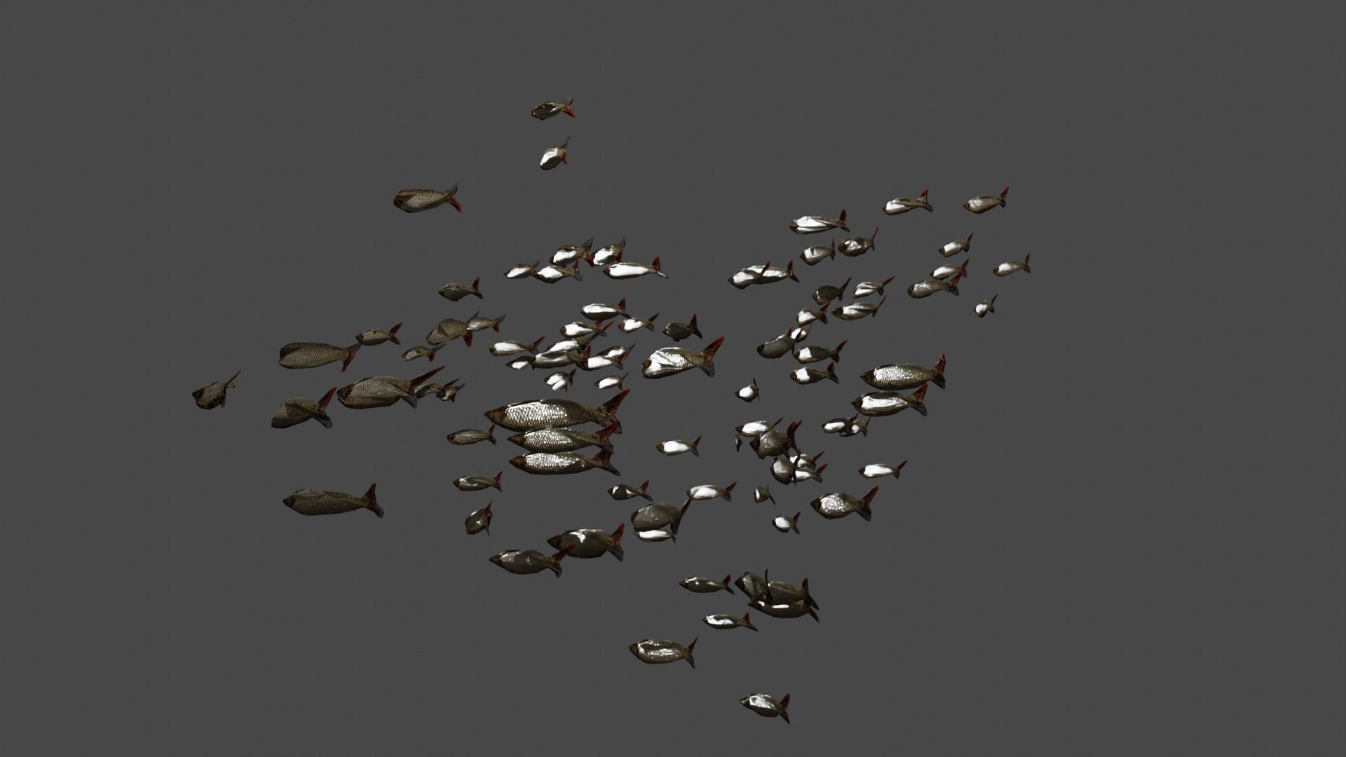 Animated school of fish 3D model animated | CGTrader