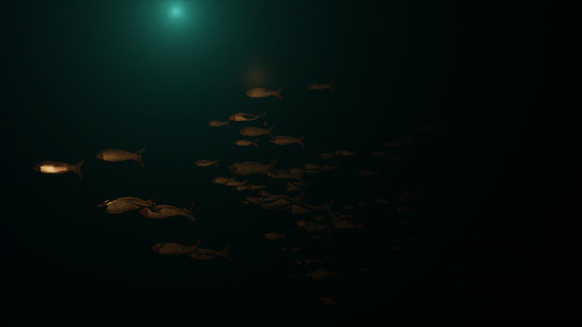 Animated school of fish 3D model animated | CGTrader