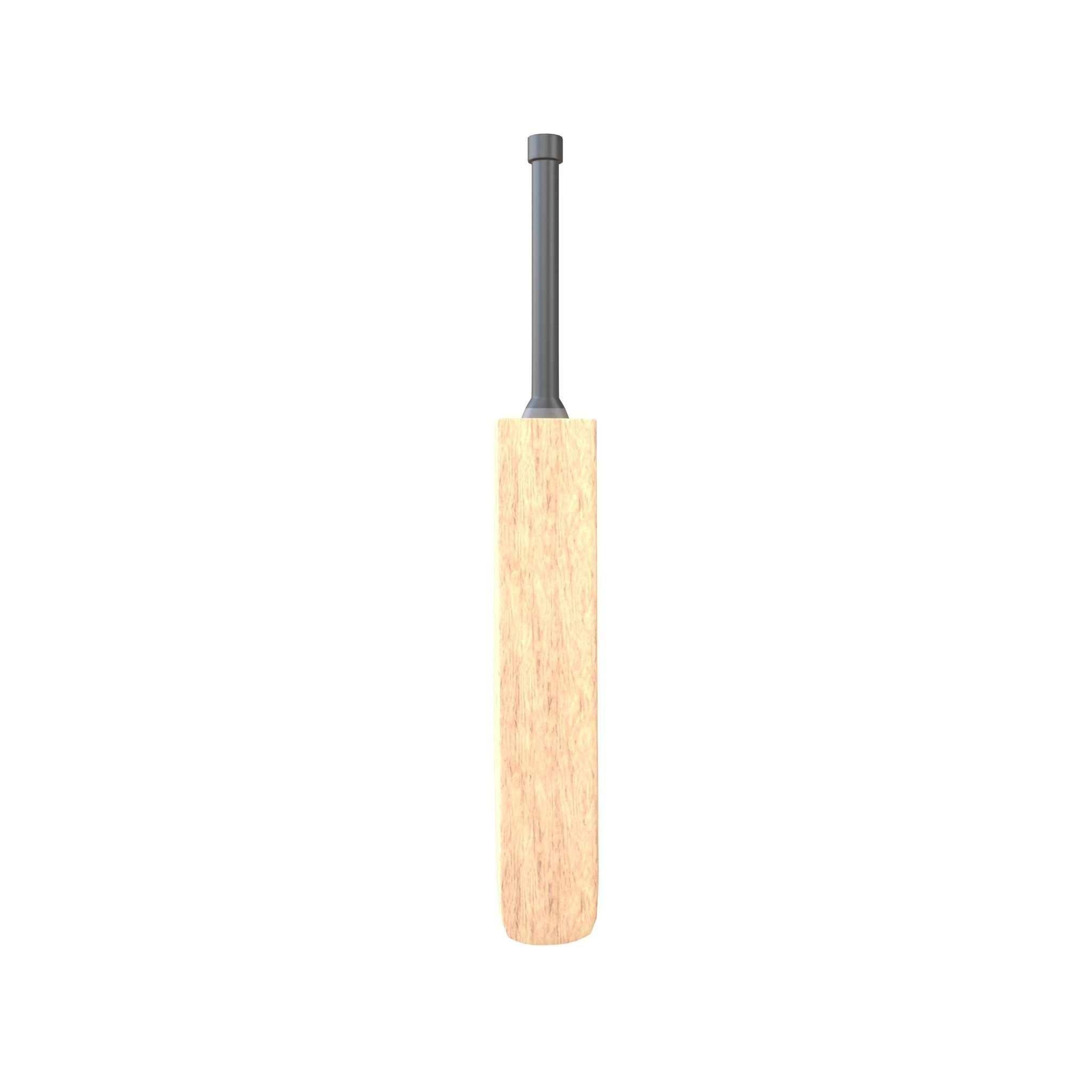 3D model Cricket Bat v1 002 VR / AR / low-poly | CGTrader