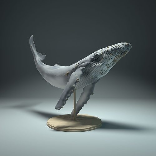 Humpback Whale 3D model 3D printable | CGTrader