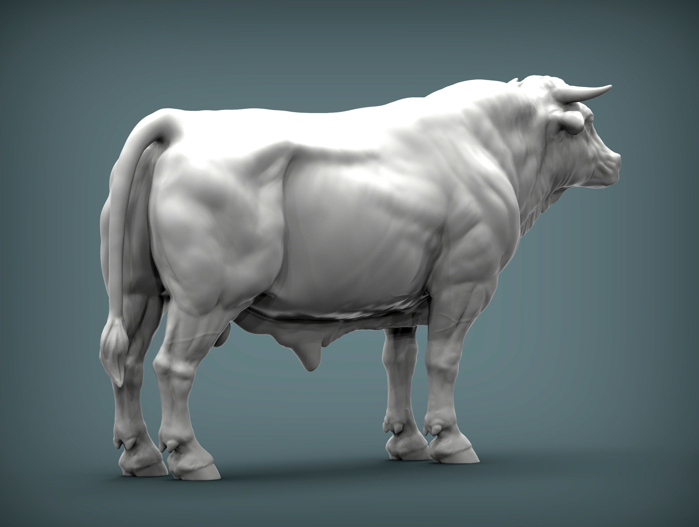 Limousin bull 3D model 3D printable | CGTrader