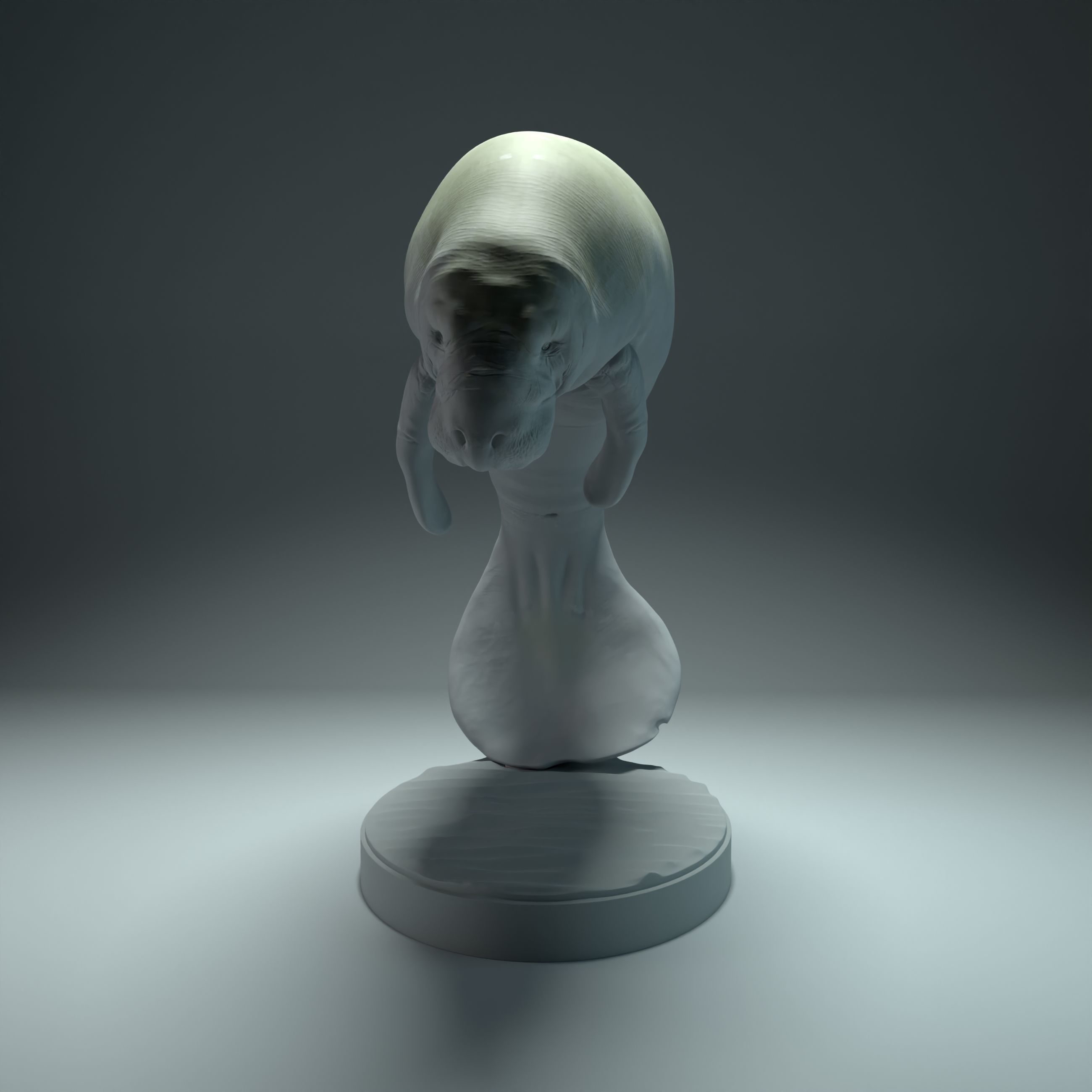 Manatee 3D model 3D printable | CGTrader