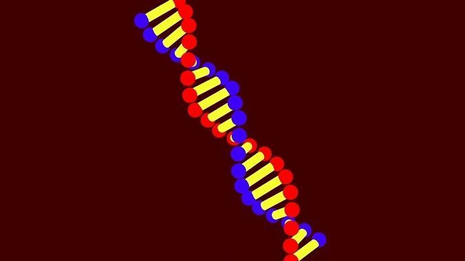 dna-3d dna strand 3D model animated | CGTrader