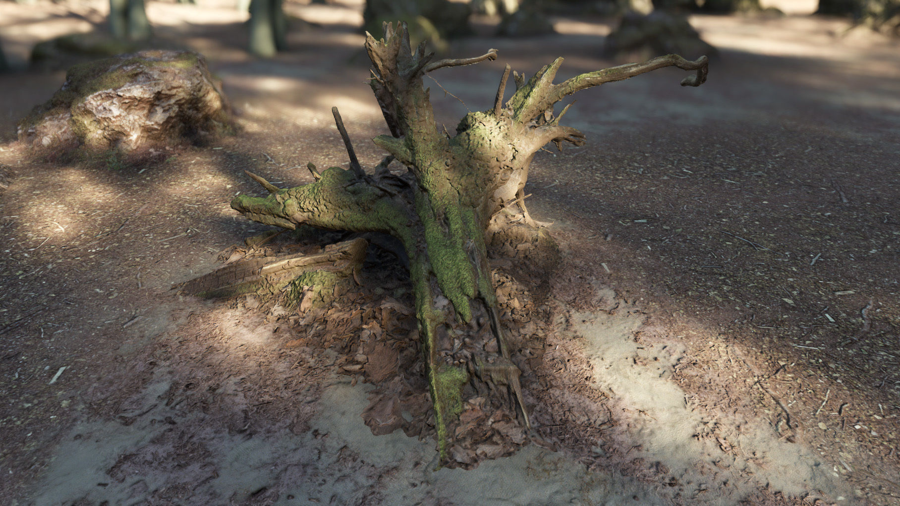 Forest Tree Root A 3D model | CGTrader