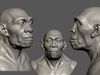 Homo erectus 3D model 3D printable | CGTrader