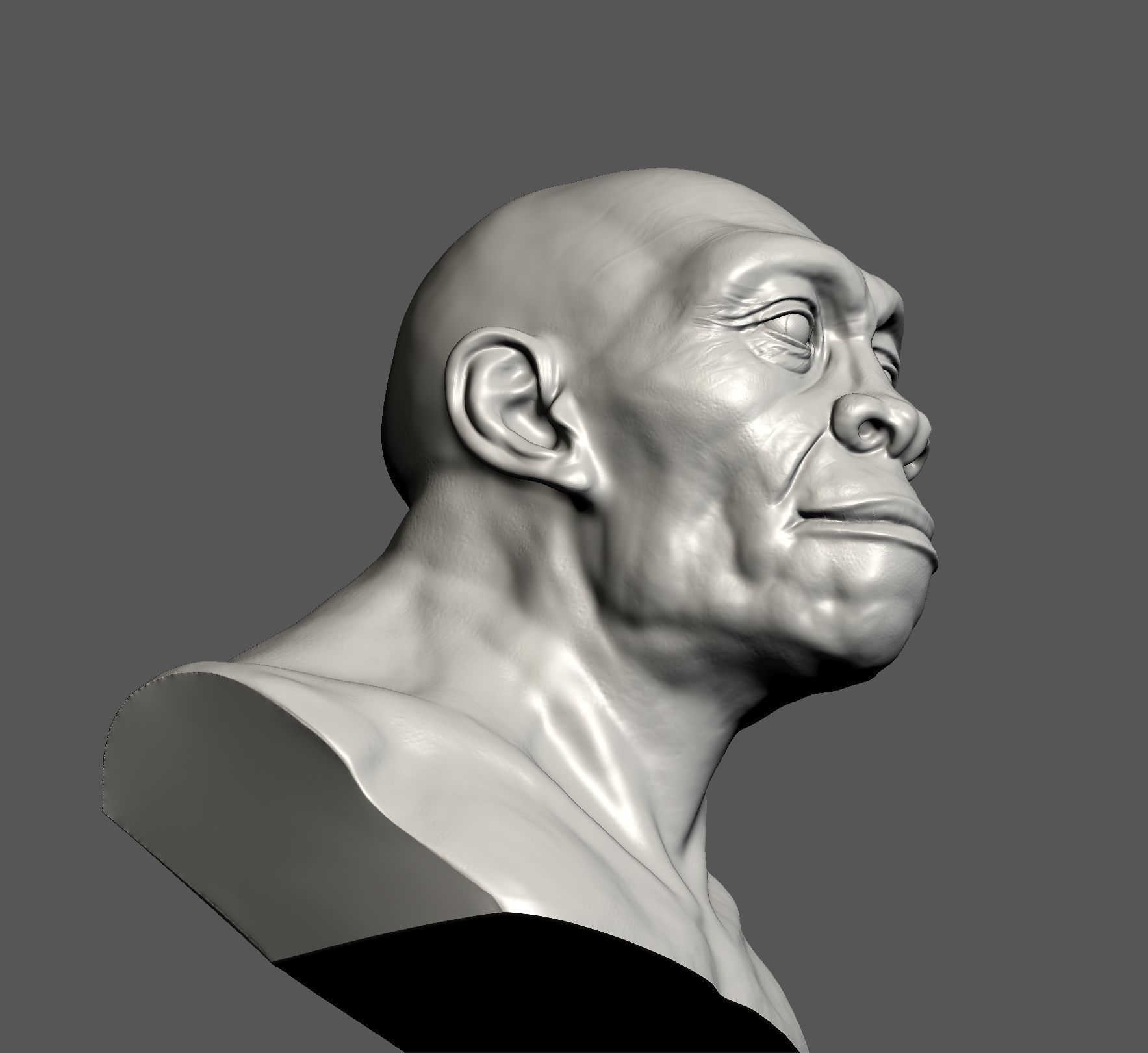 Homo erectus 3D model 3D printable | CGTrader