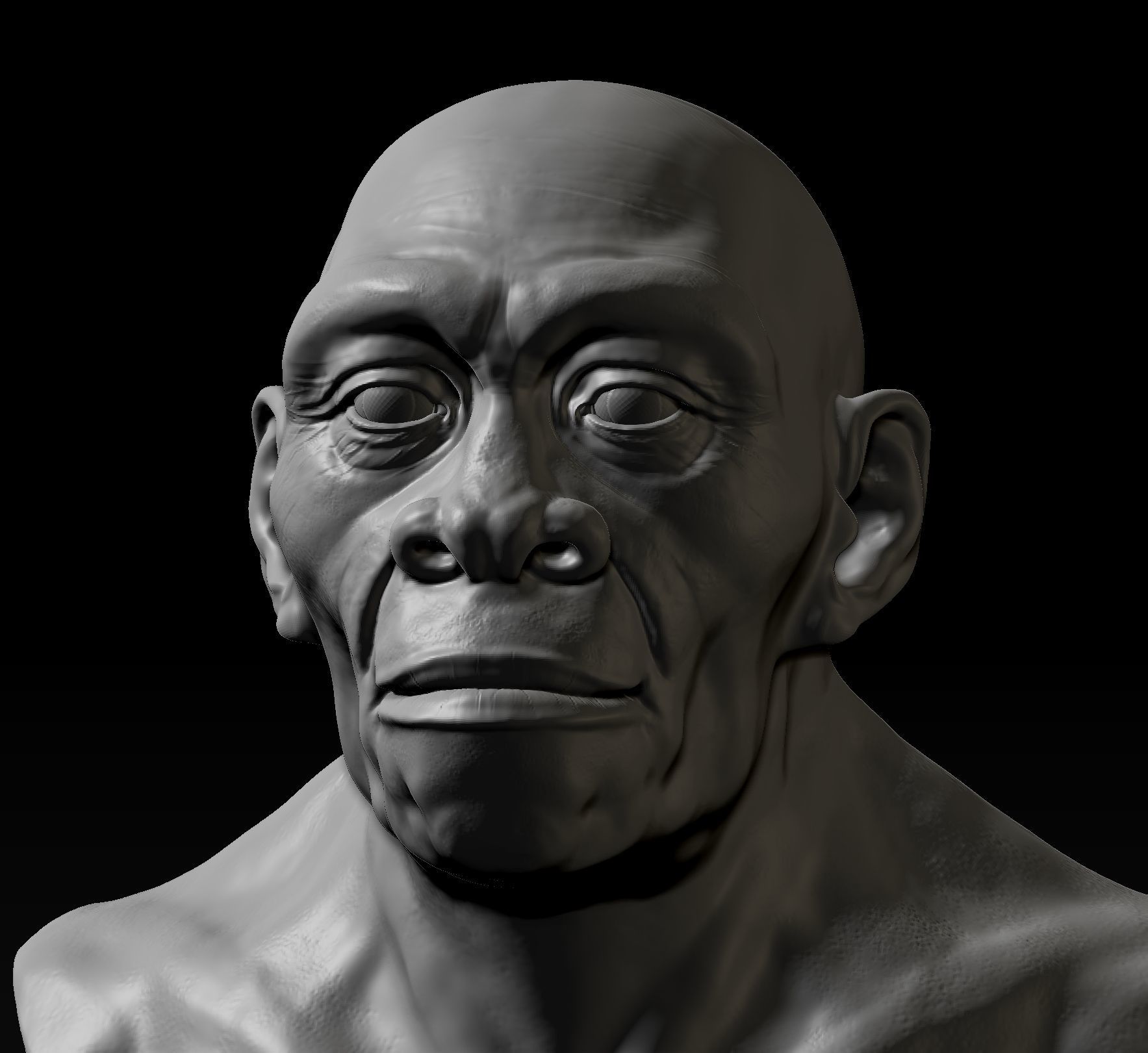 Homo erectus 3D model 3D printable | CGTrader