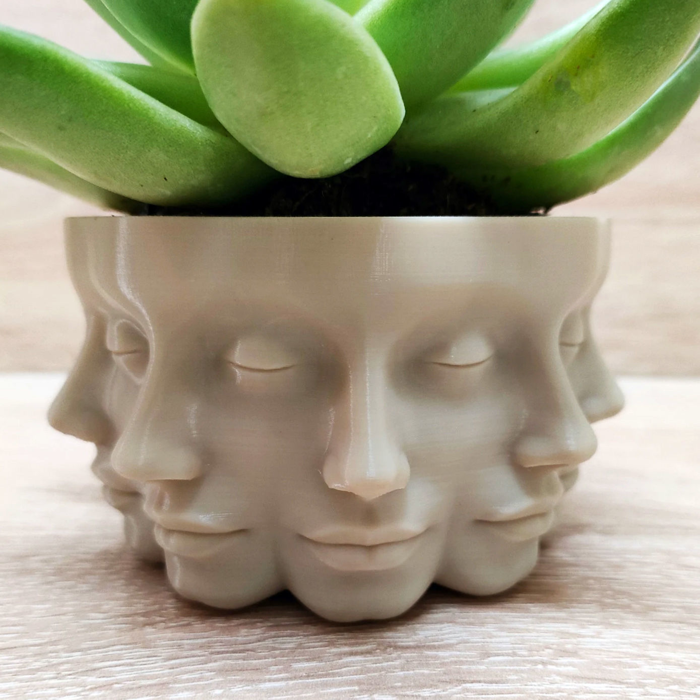 Face planter Pot with drainage - Vase STL file 3D model 3D printable ...