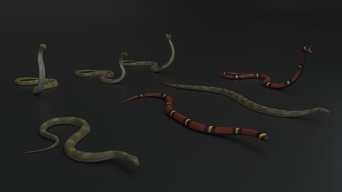 Snake Rigged and Animated 3D model animated rigged | CGTrader