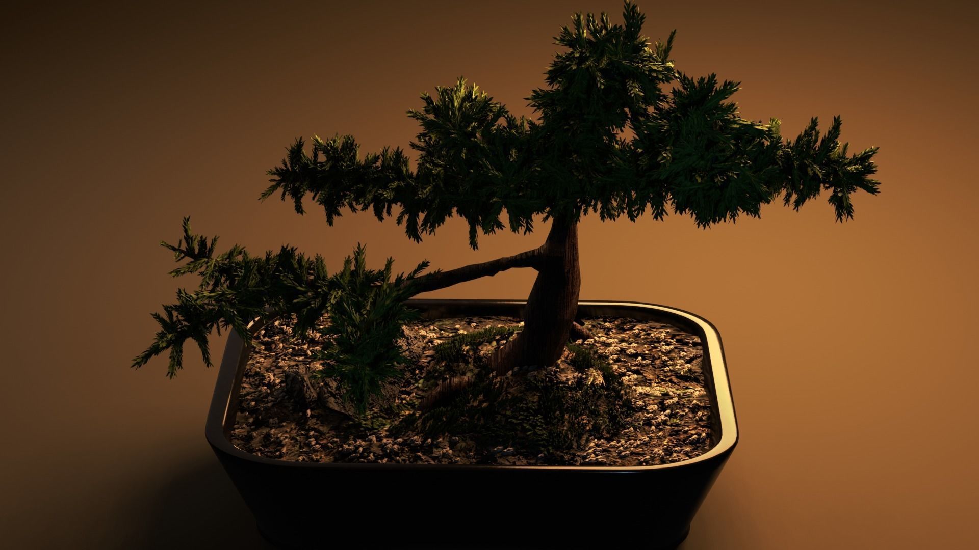 Bonsai tree in pot free 3D model | CGTrader