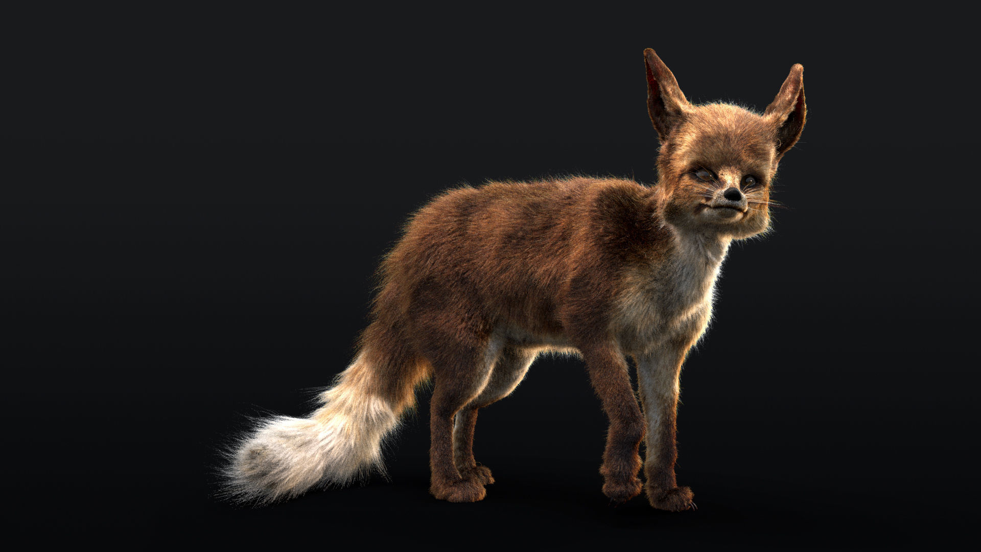 3D model Blanfords Fox VR / AR / low-poly | CGTrader