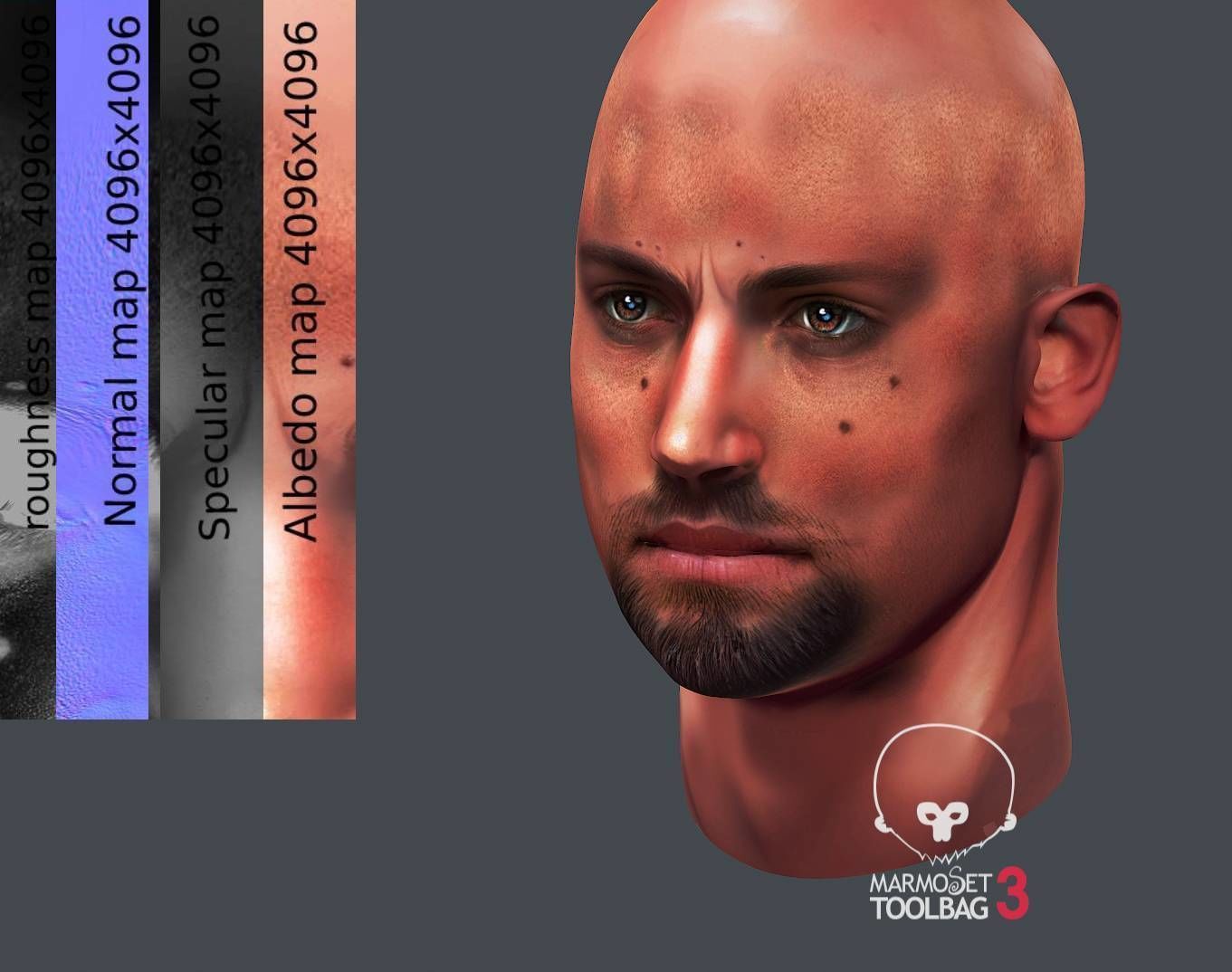 3D model Male head Realistic Perfect Head Low-poly 3D model game ready ...