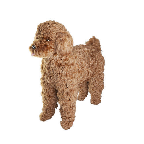 Poodle dog puppy 3D model | CGTrader