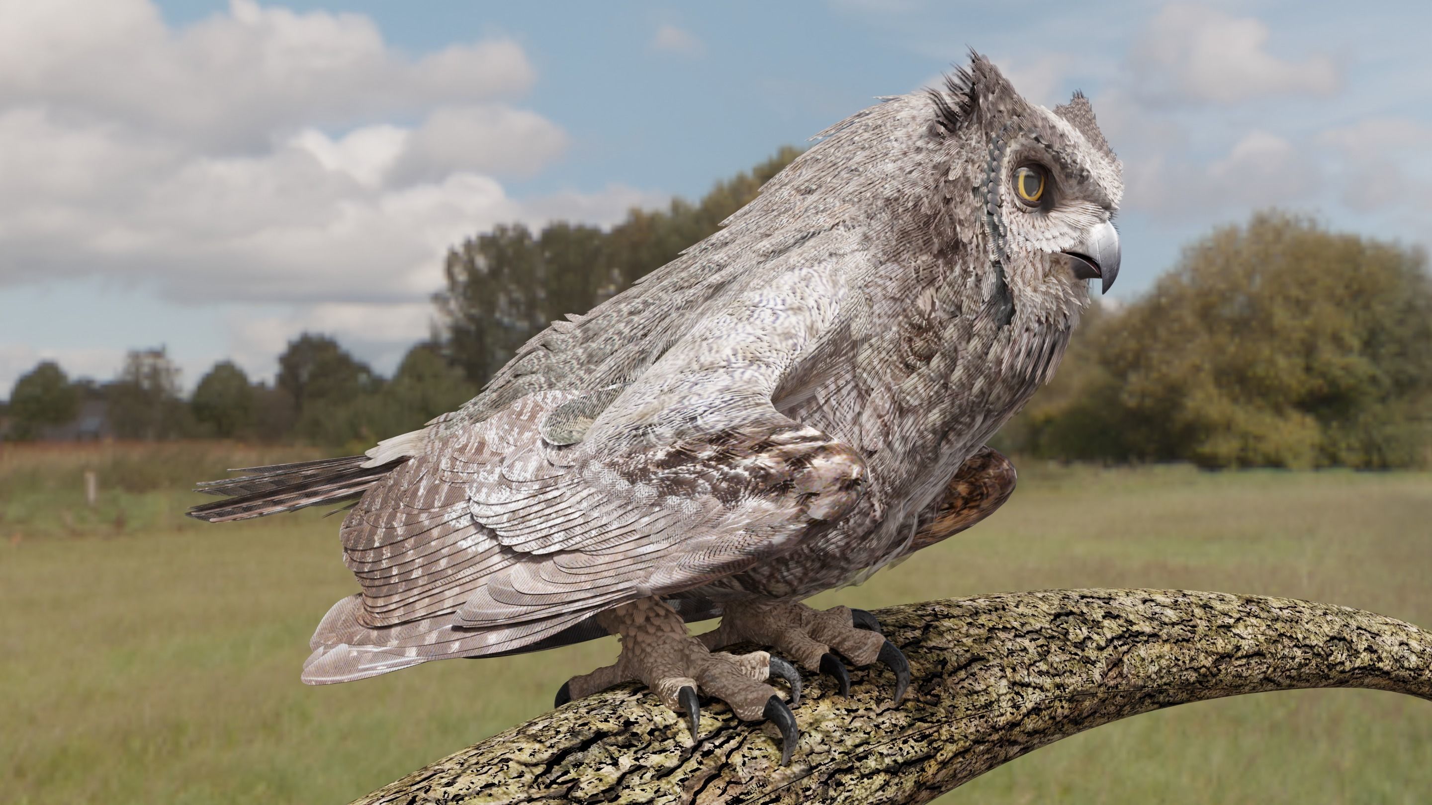 3D model Great Horned Owl - Blender VR / AR / low-poly | CGTrader