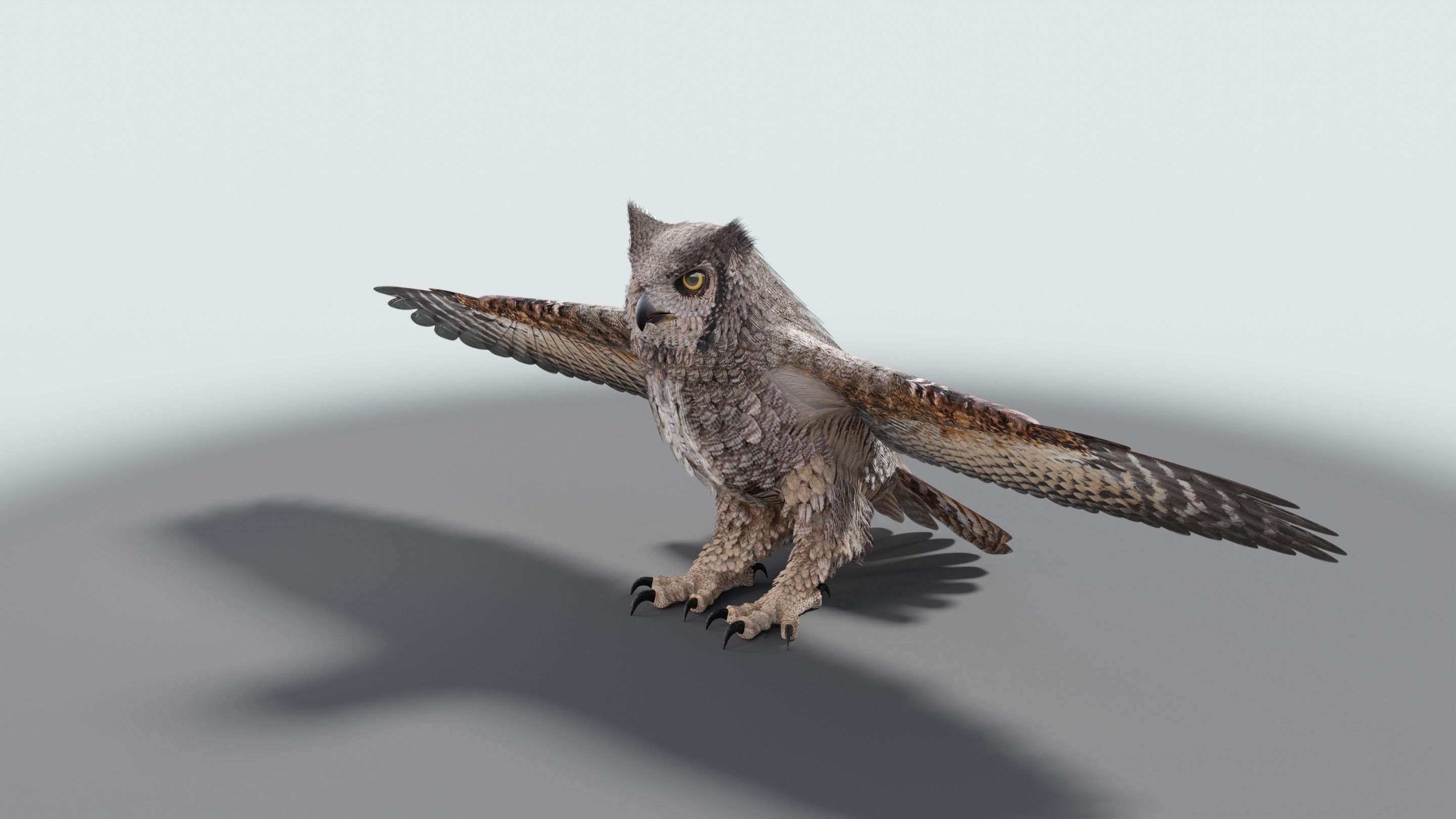 3D model Great Horned Owl - Blender VR / AR / low-poly | CGTrader