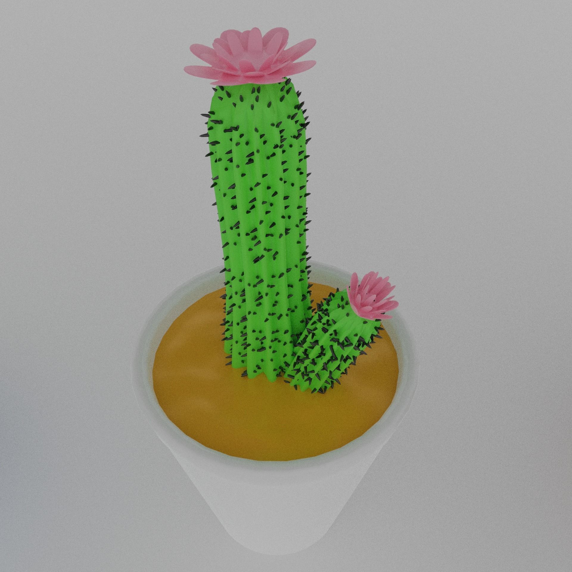 Cacti for video games 3D model | CGTrader