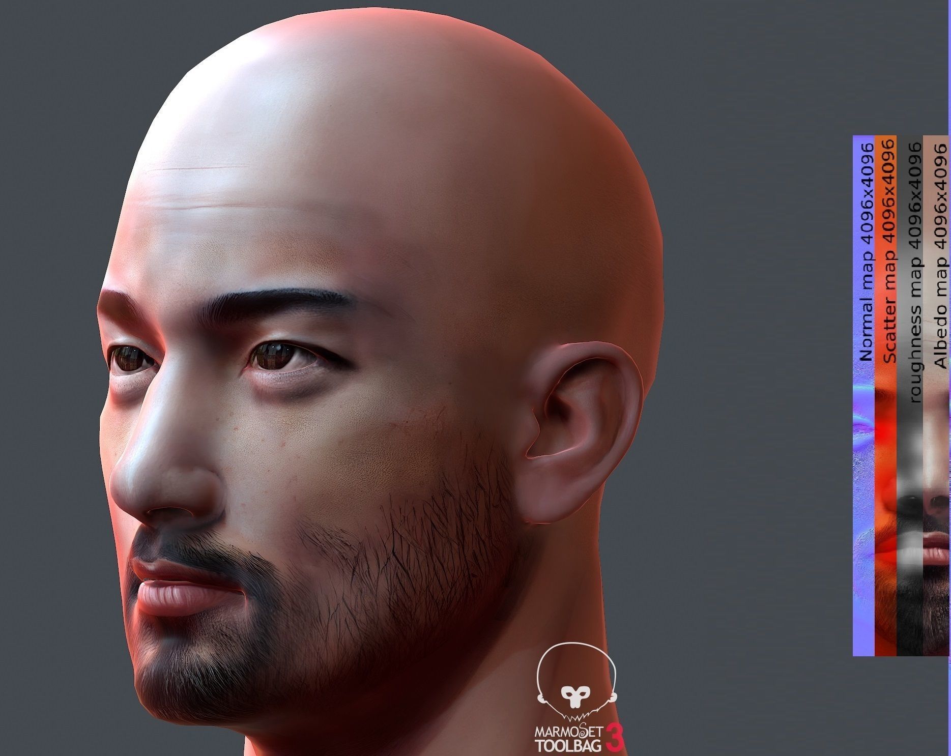 3D model Male head Asian male head PBR Realistic Perfect Head Low-poly VR / AR / low-poly | CGTrader