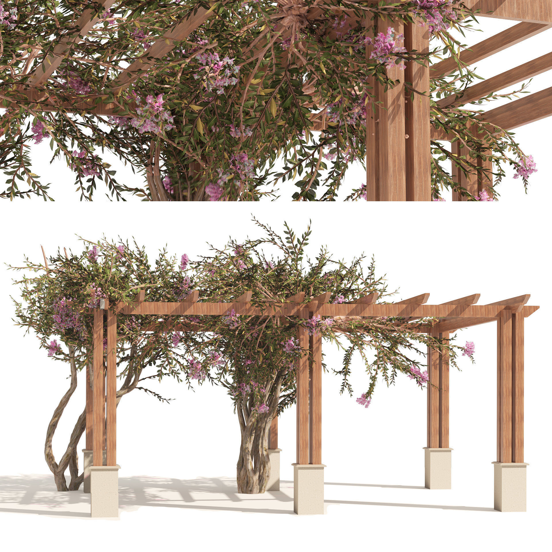 crape myrtle pergola 3D model | CGTrader