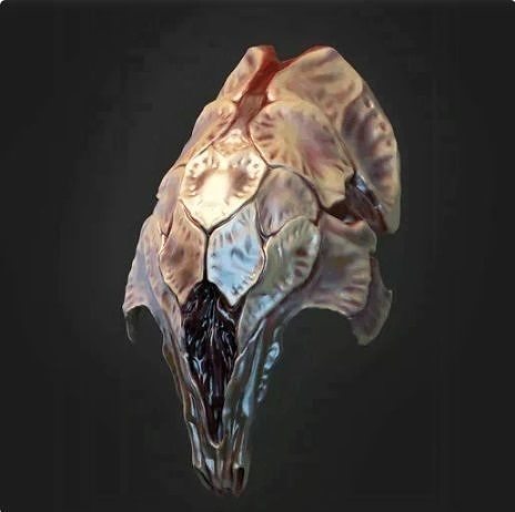 depredador PREY mask 3D model 3D printable | CGTrader