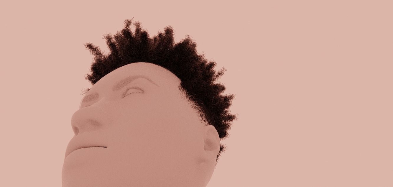 Afro Taper Fade 3D model | CGTrader