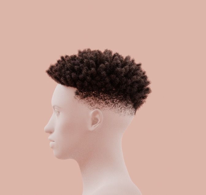 Afro Taper Fade 3D model | CGTrader