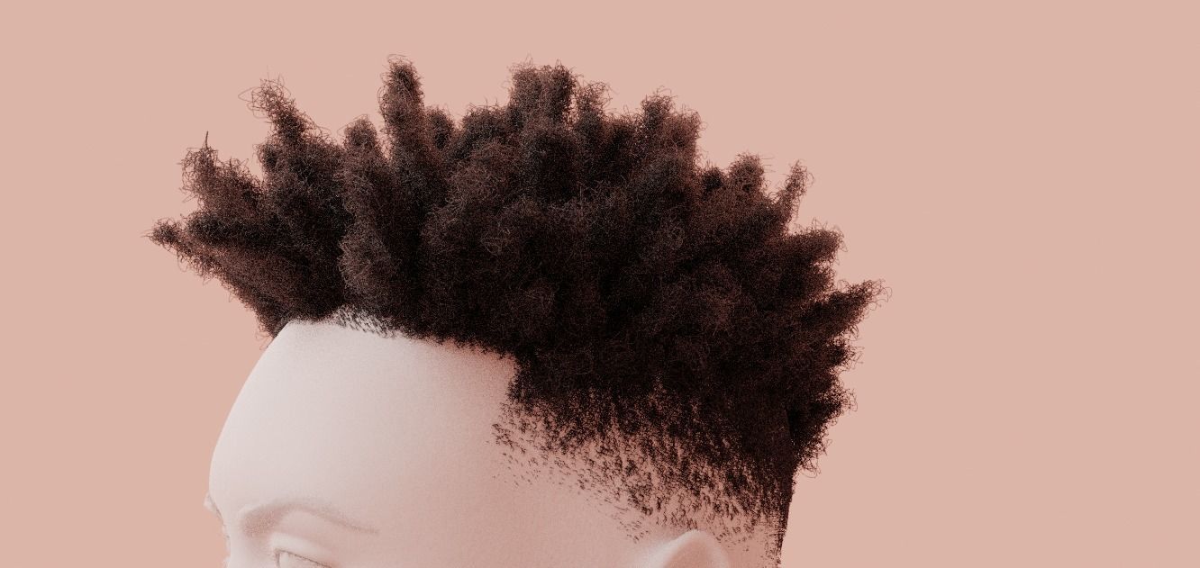 Afro Taper Fade 3D model | CGTrader