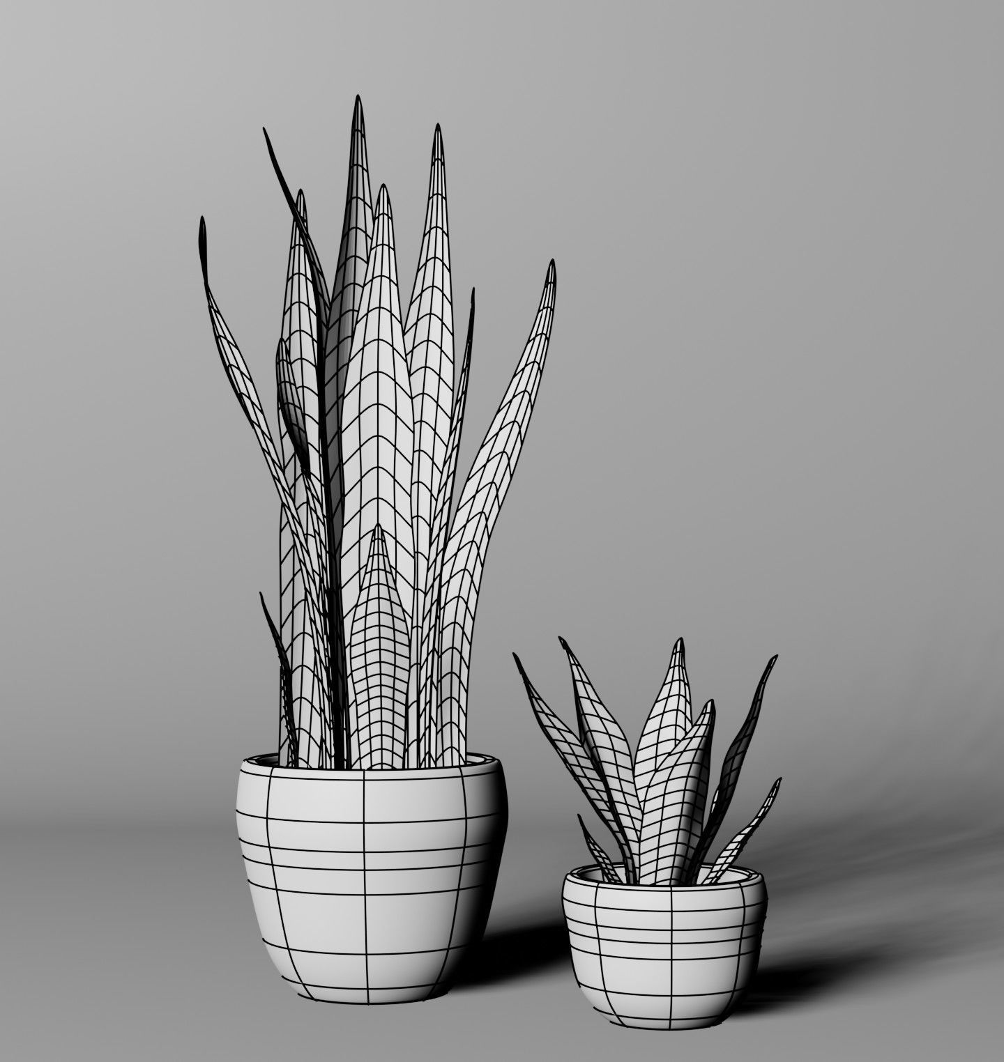 Snake Plant Dracaena sansevieria in Boho pot planter 3D model | CGTrader