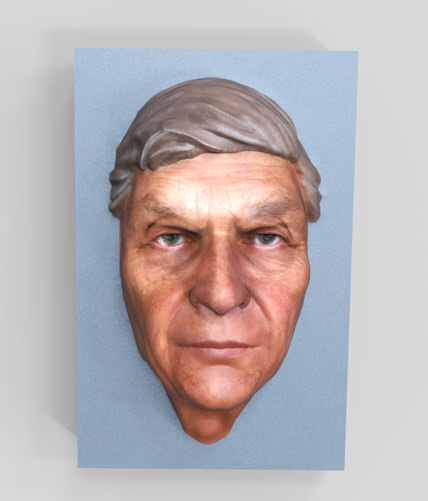 Human Face 3D model 3D printable | CGTrader