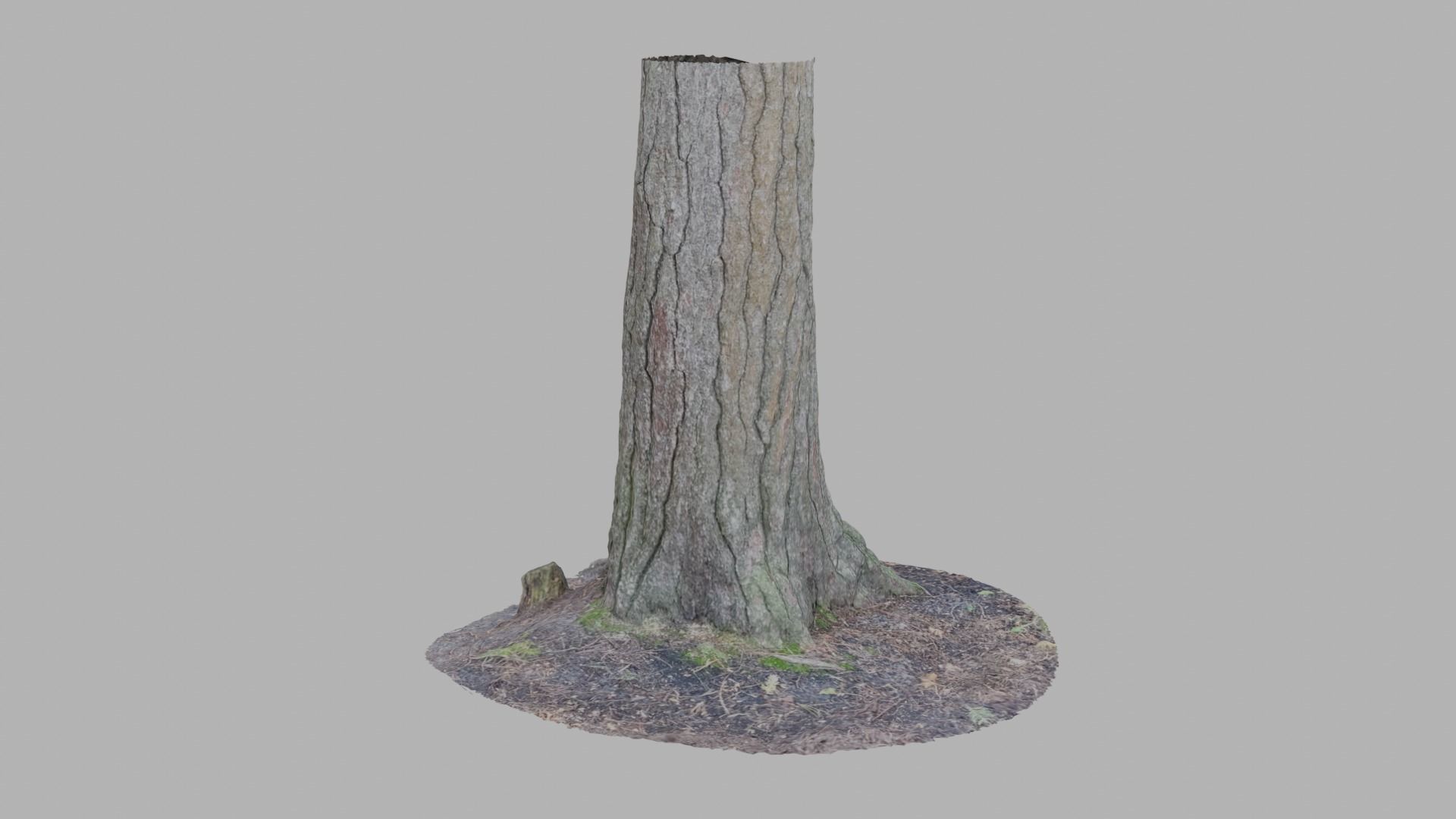 Conifer Tree Trunk - Photoscan 3D Model - Varying LOD free VR / AR ...