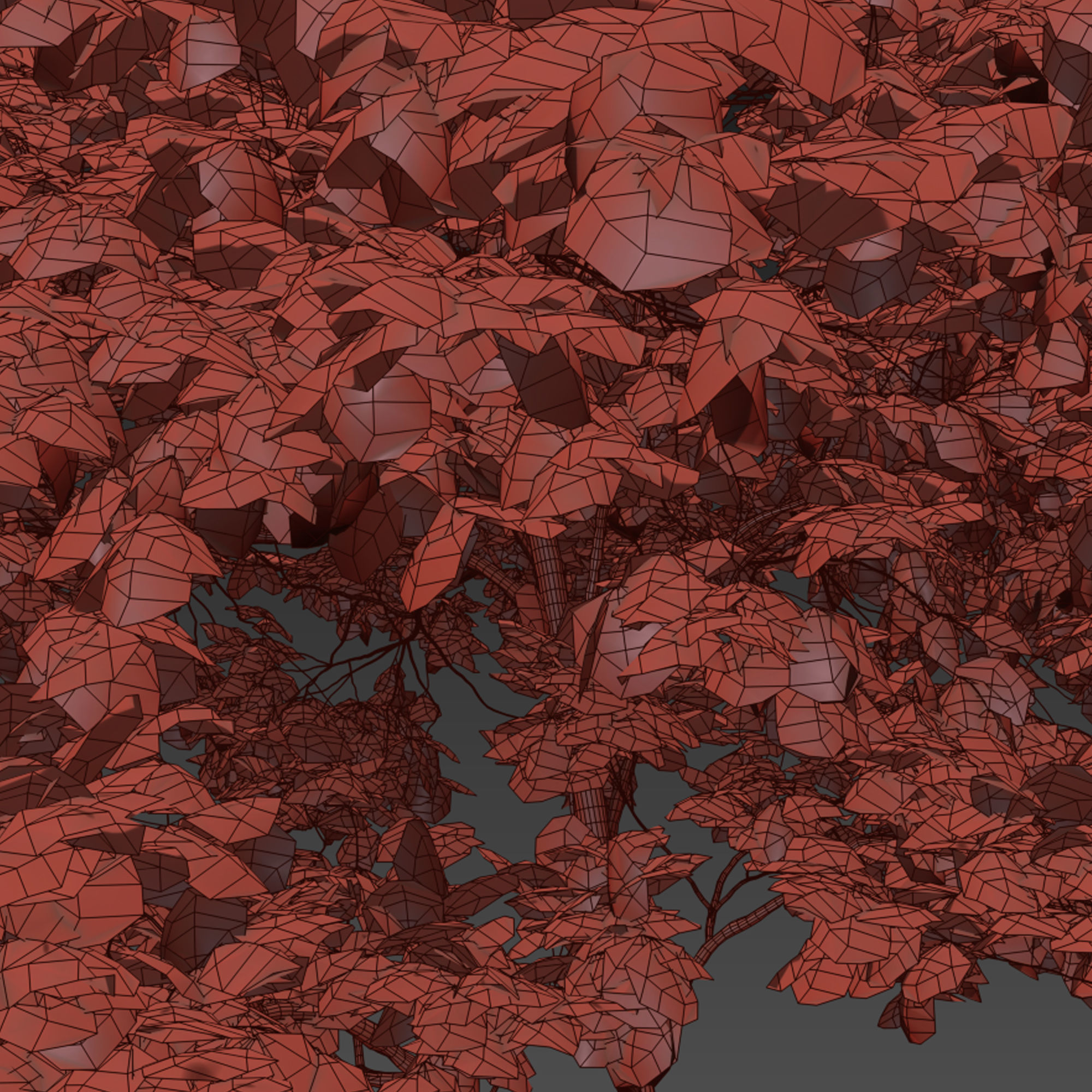 Coliseum maple 3D model | CGTrader