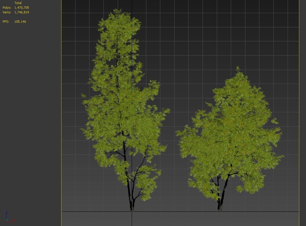 Coliseum maple 3D model | CGTrader