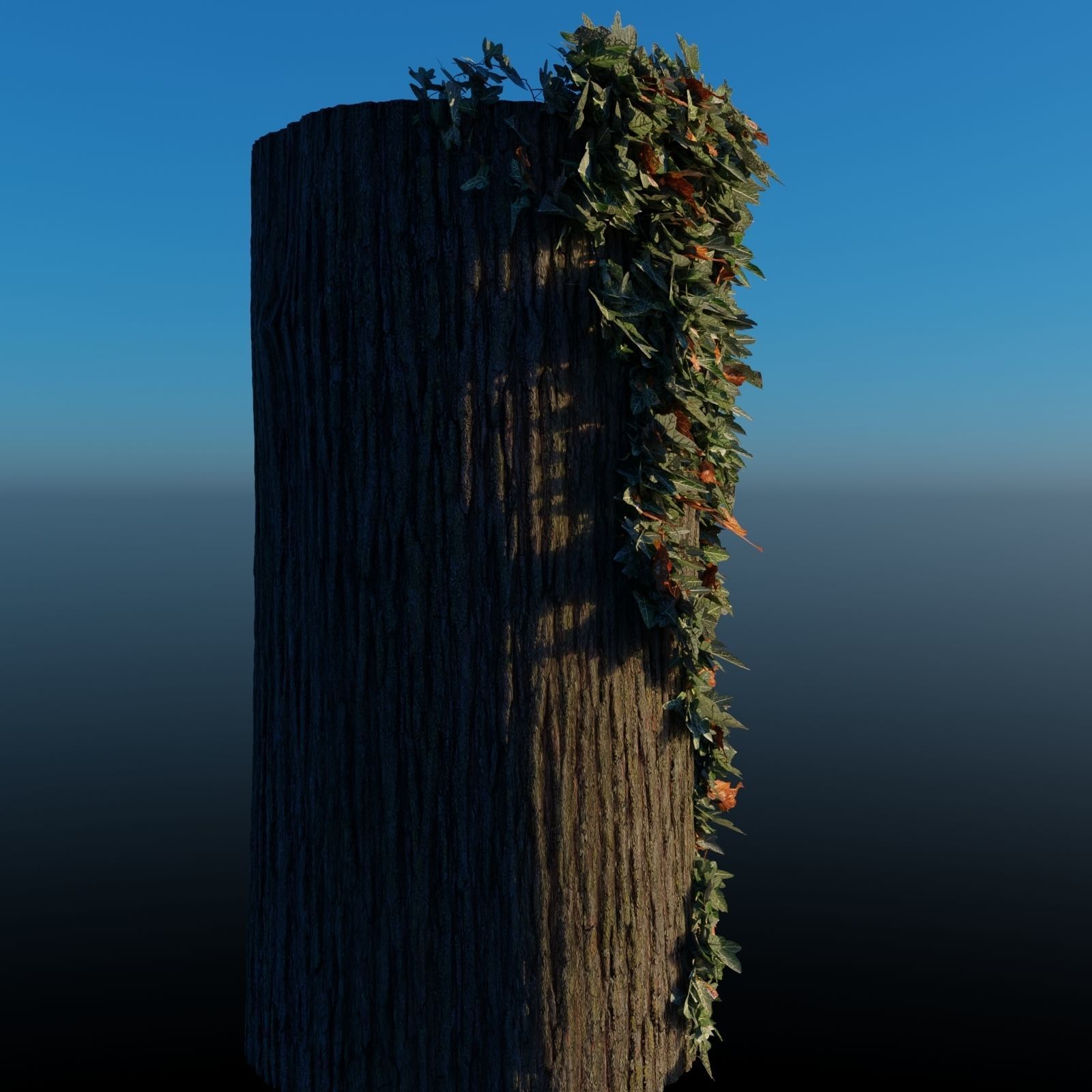 3D model English Ivy - Hedera Helix - HD Asset VR / AR / low-poly ...