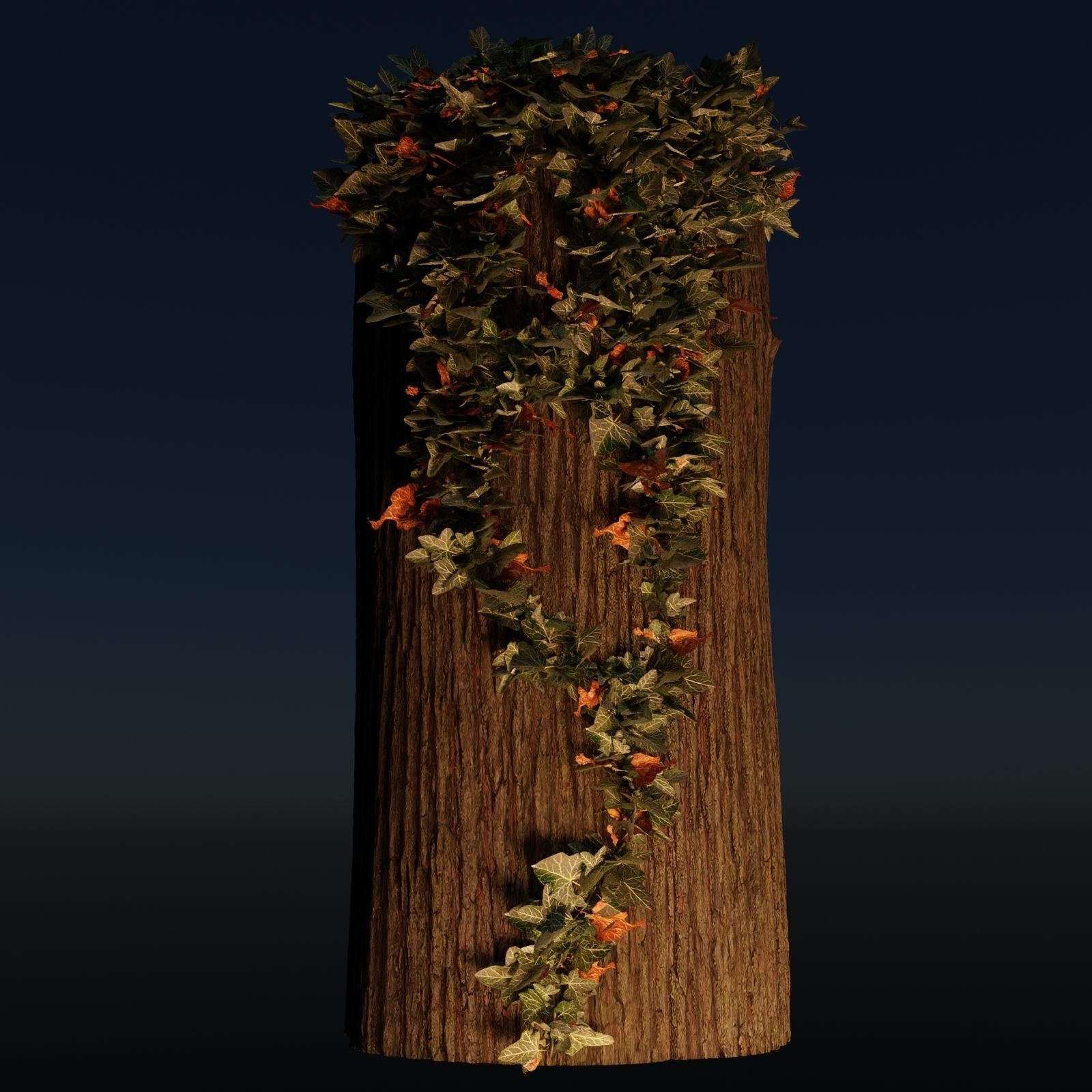3D model English Ivy - Hedera Helix - HD Asset VR / AR / low-poly ...