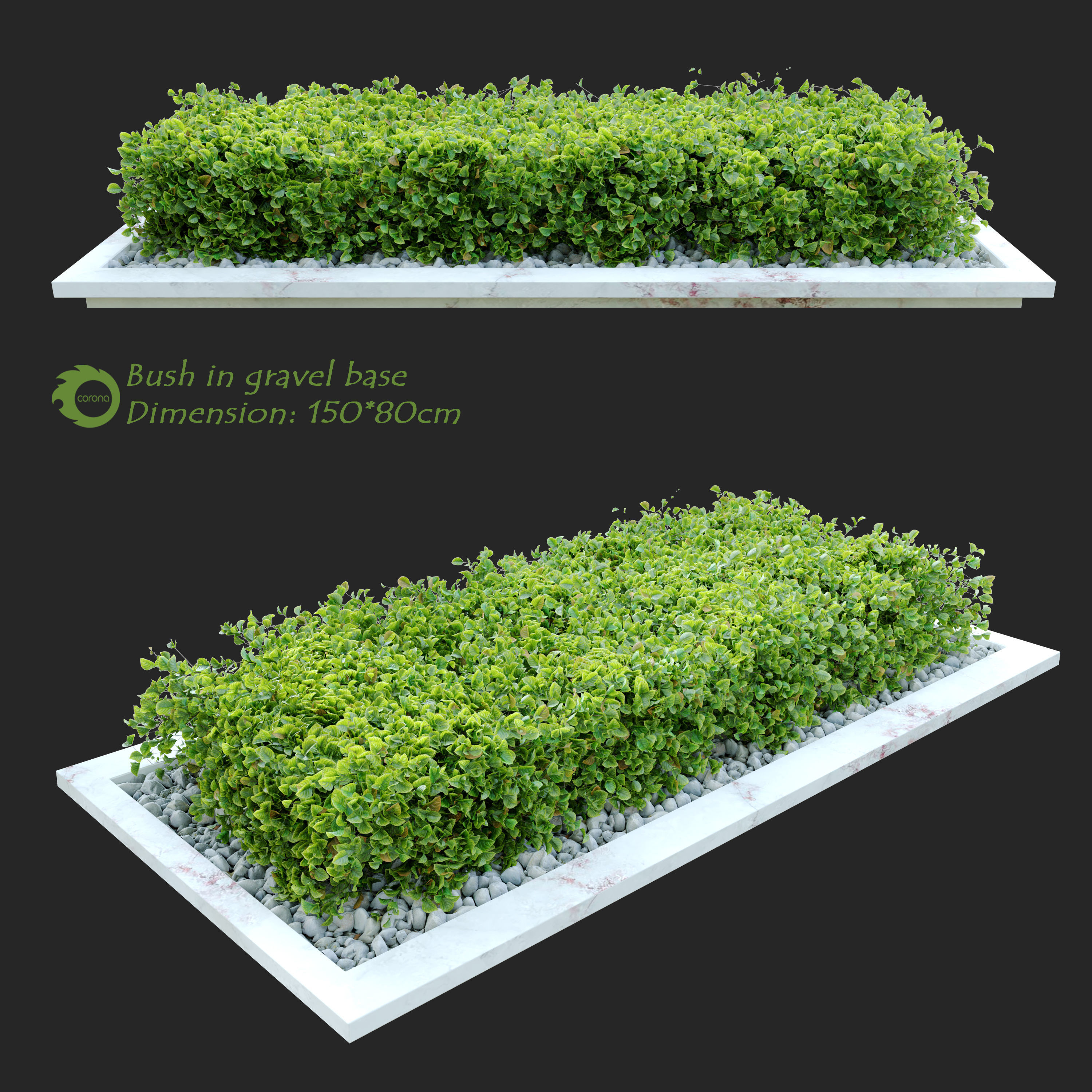 Bush in gravel base 3D model | CGTrader
