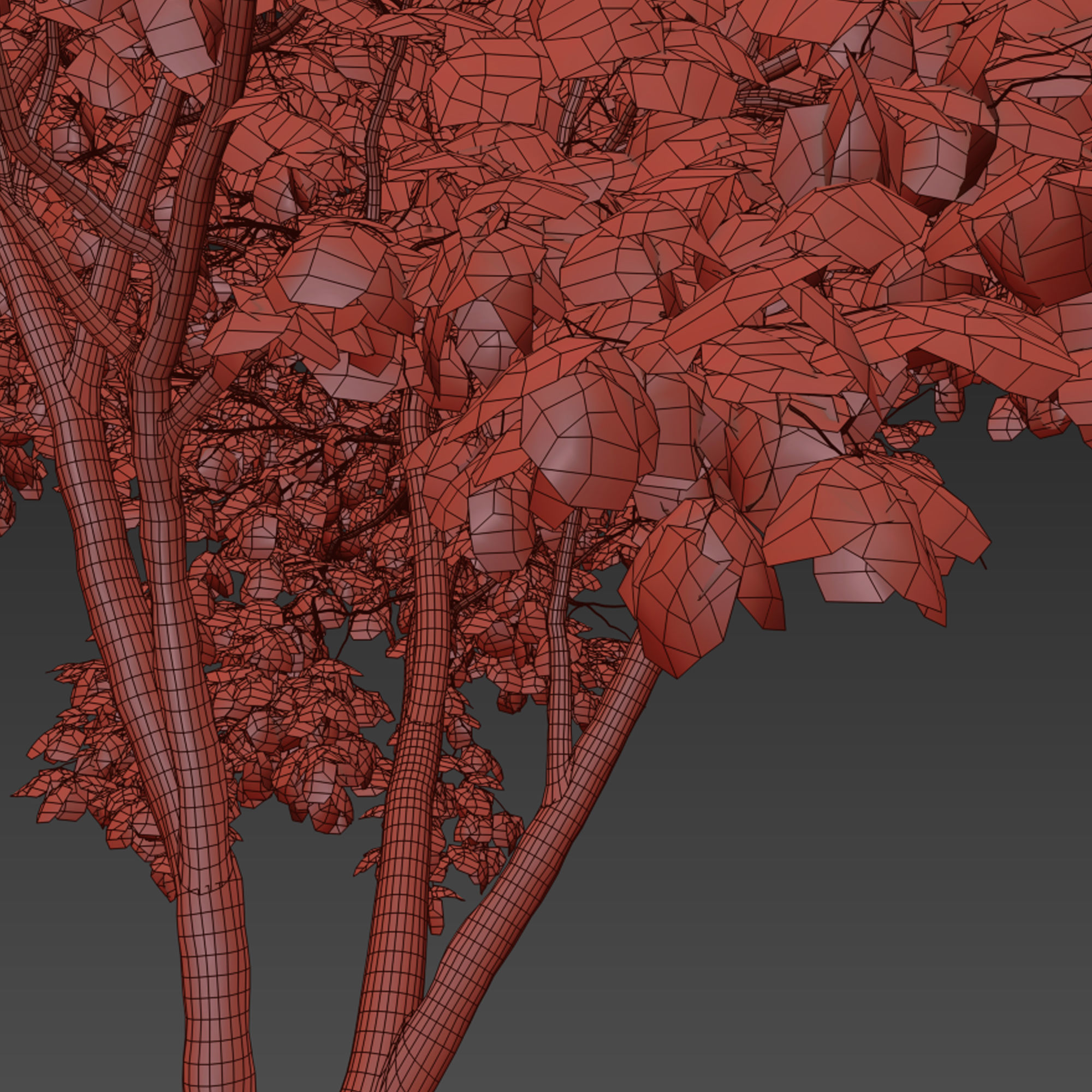 Honey locust 3D model | CGTrader