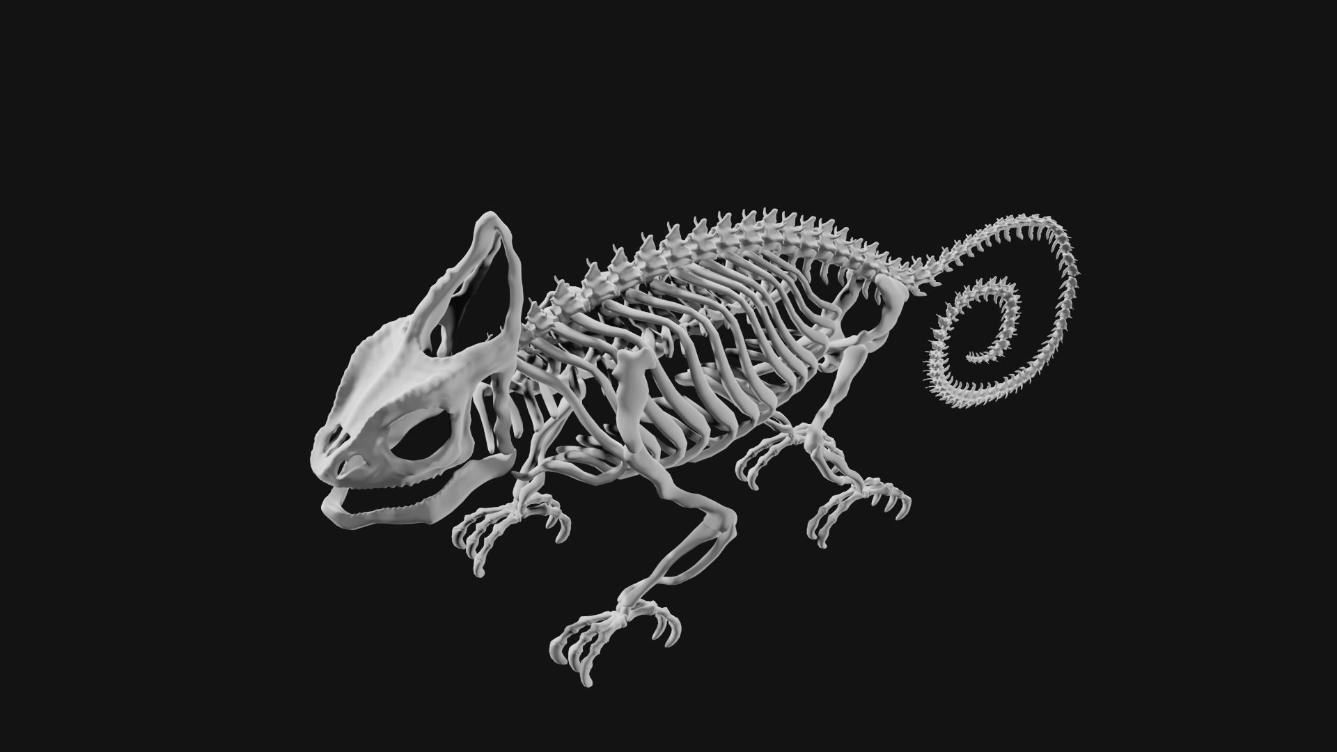 Skeleton of chameleon 3D model | CGTrader