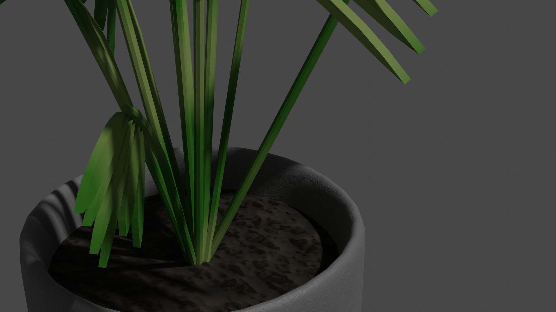 Plant 3D model | CGTrader