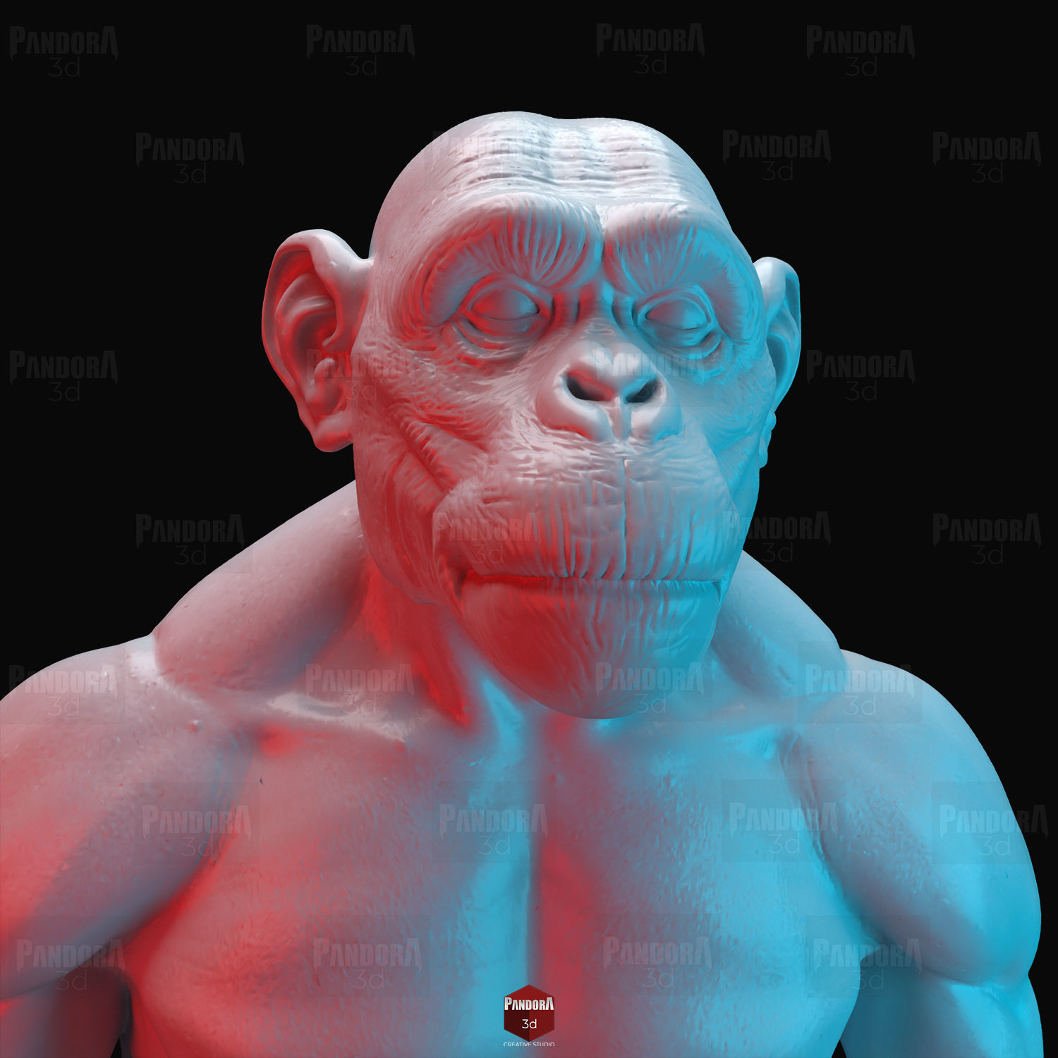 Monkey anatomy to print 3D model 3D printable | CGTrader