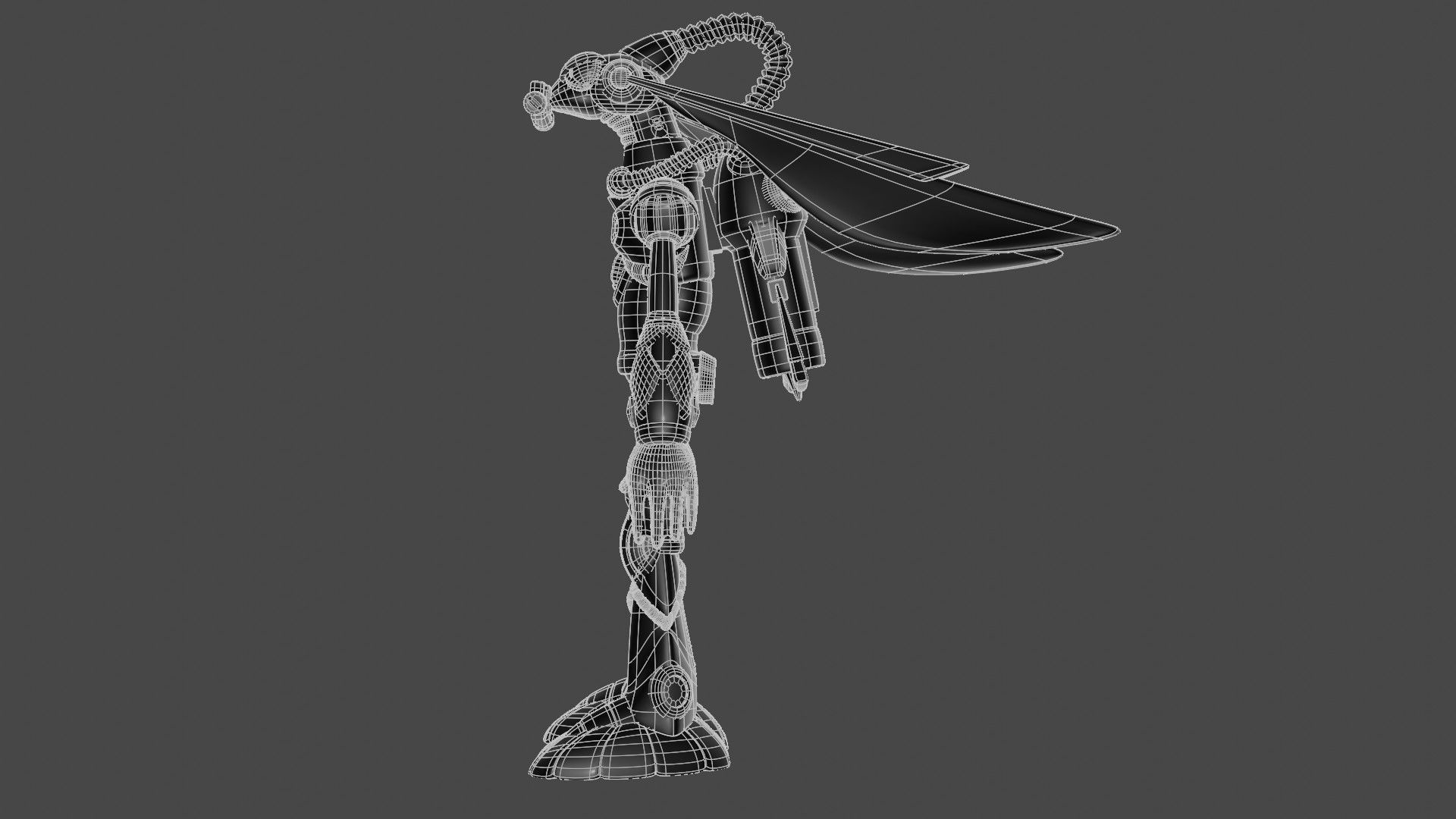 Splash Warfly 3D model rigged | CGTrader