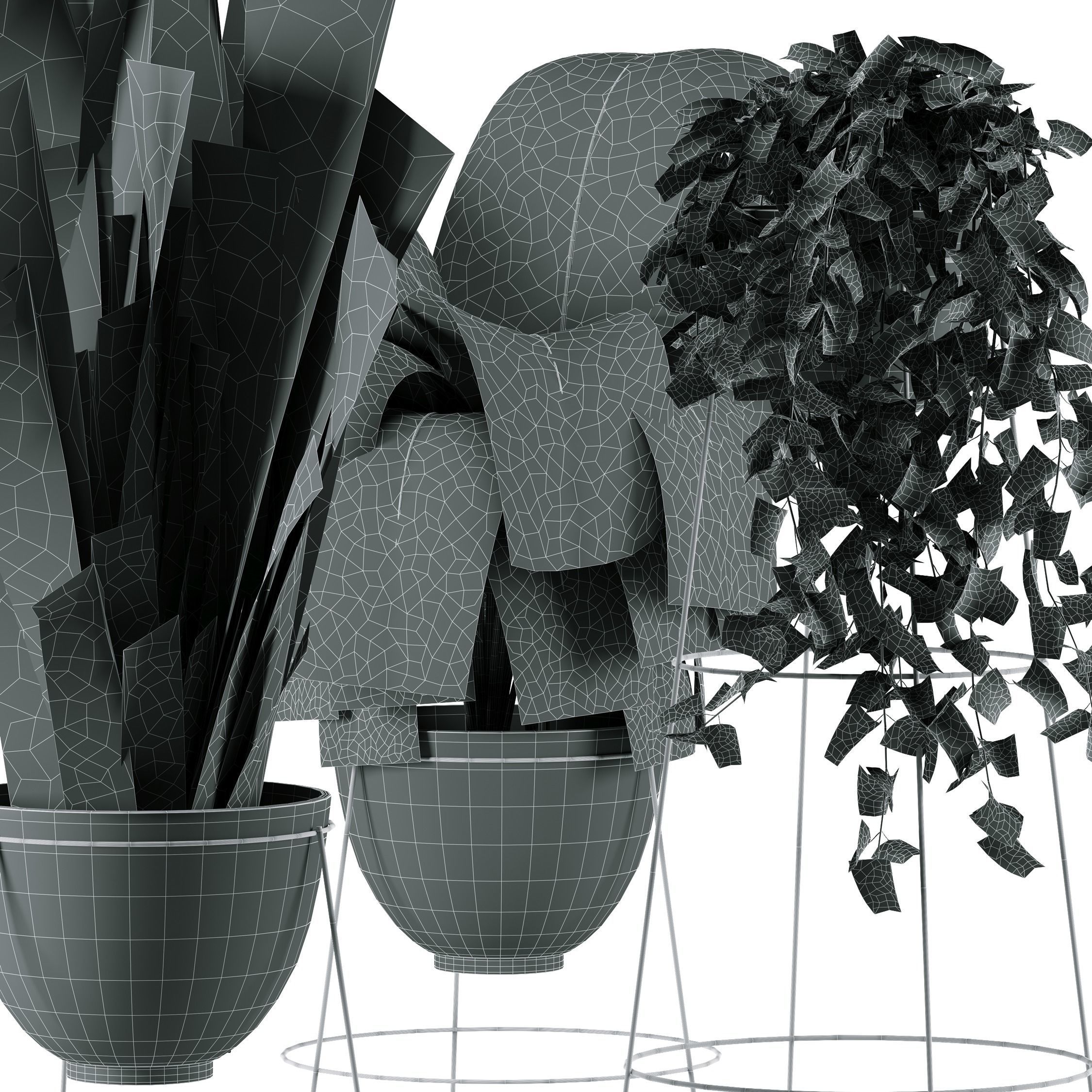 Indoor Plants set 17 3D model | CGTrader