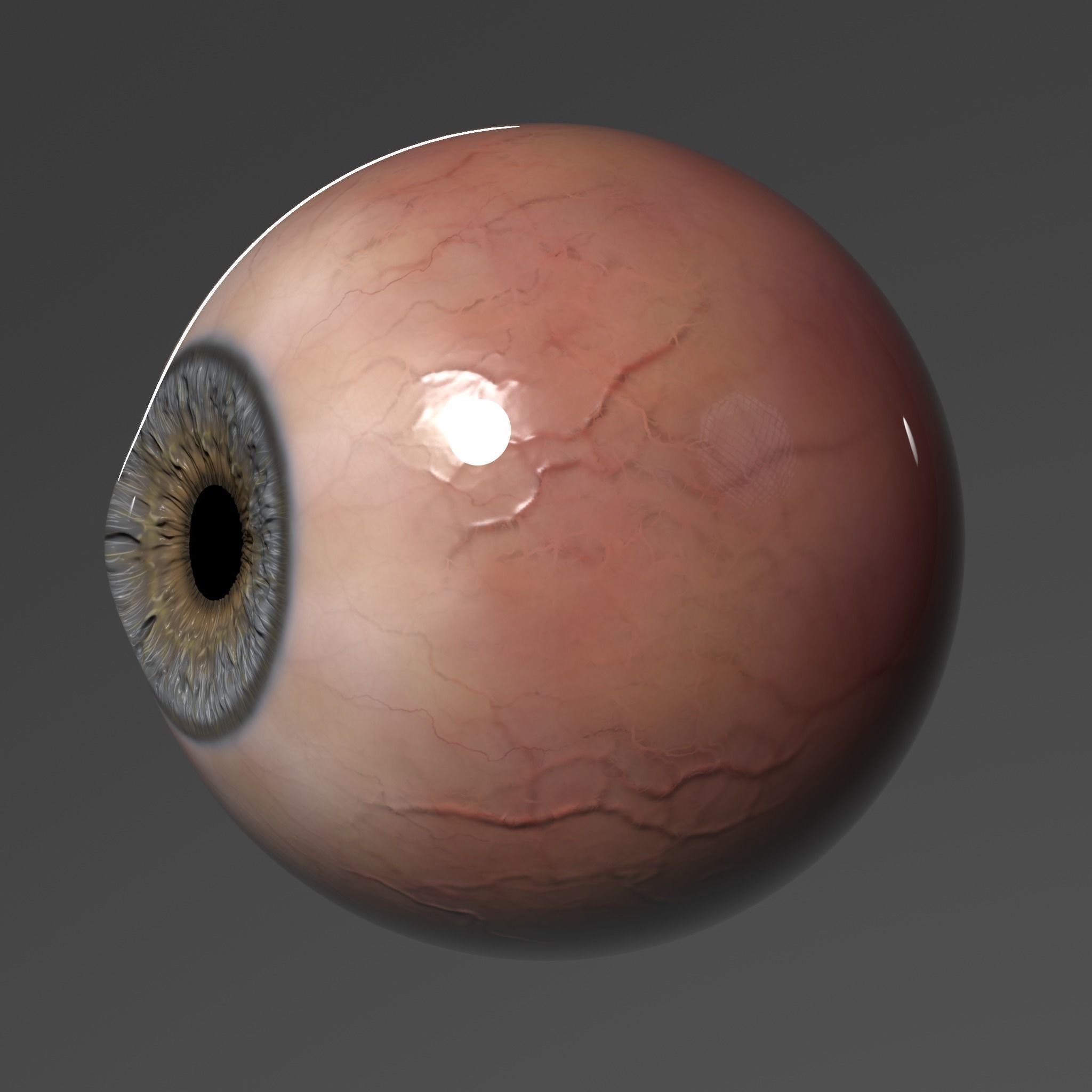 3D model Human Realistic Base Mesh VR / AR / low-poly | CGTrader