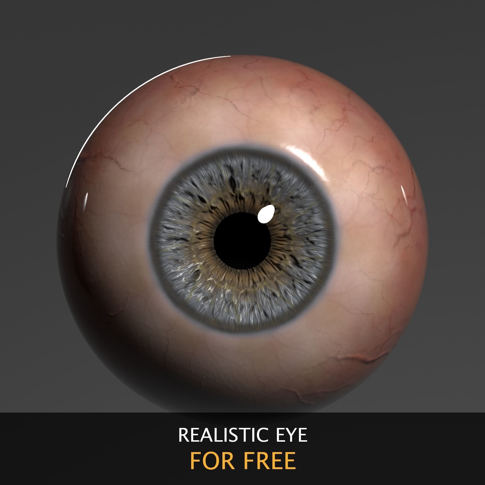 3D model Human Realistic Base Mesh VR / AR / low-poly | CGTrader