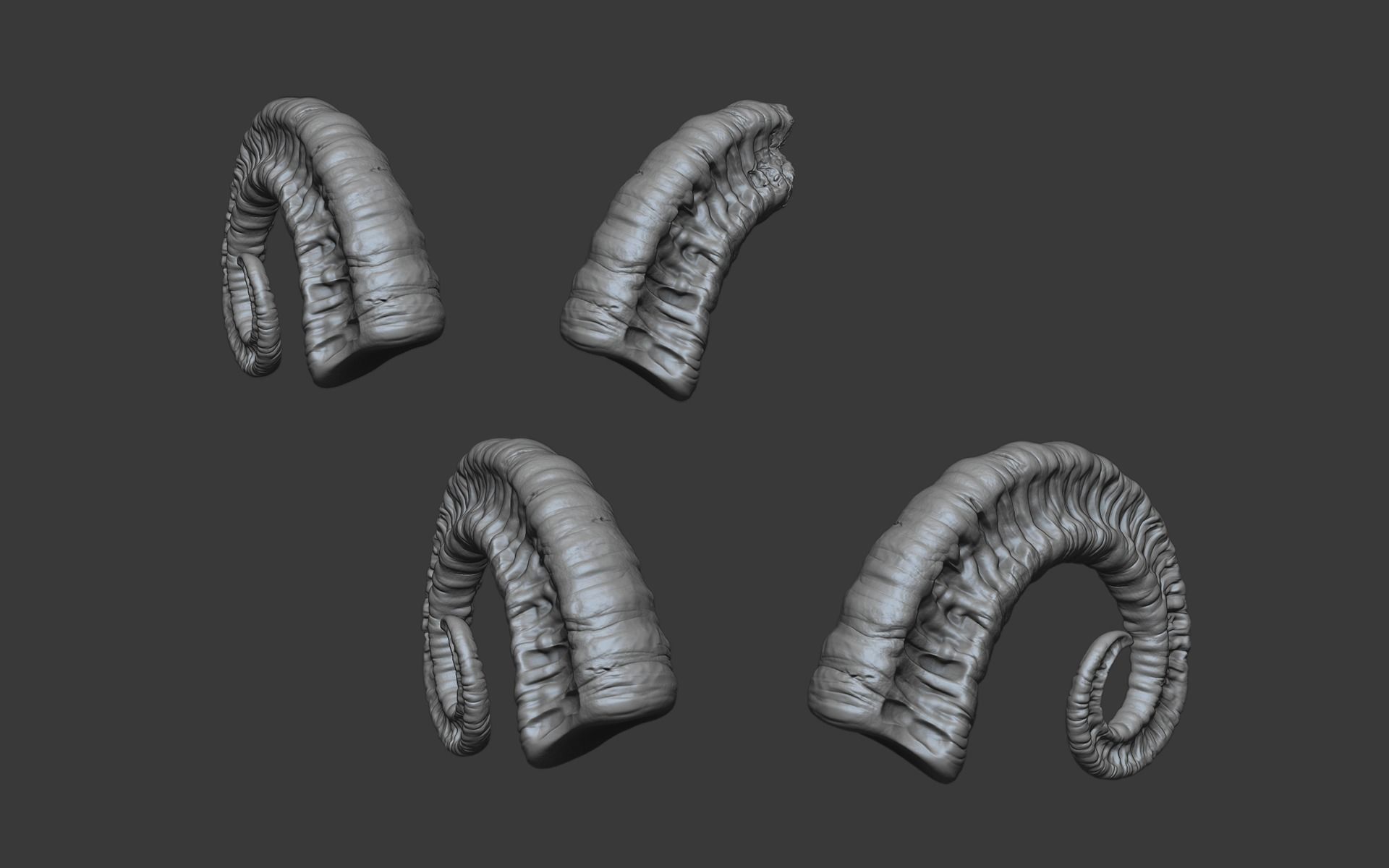 HORNS PACK volume 1 3D model | CGTrader