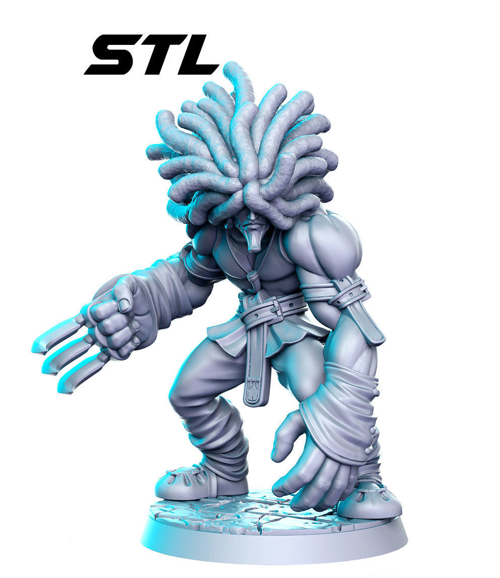 Amarant Coral Final Fantasy 32mm Pre-supported 3D model 3D printable ...