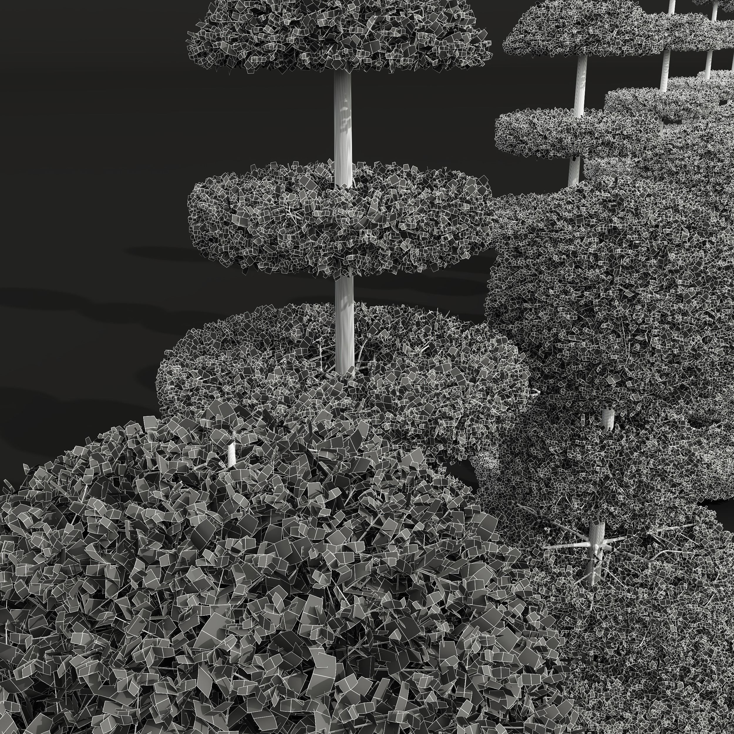 New Plant Ficus Concinna Bonsai Pruned13 3D model | CGTrader