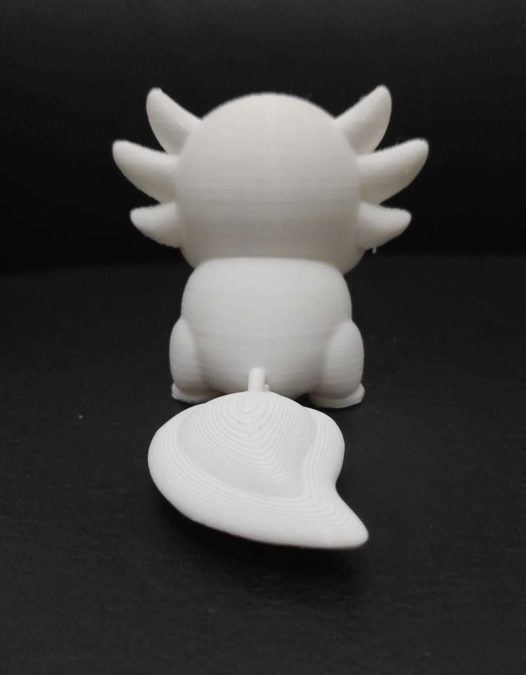 Flexi Axolotl 3D model 3D printable | CGTrader