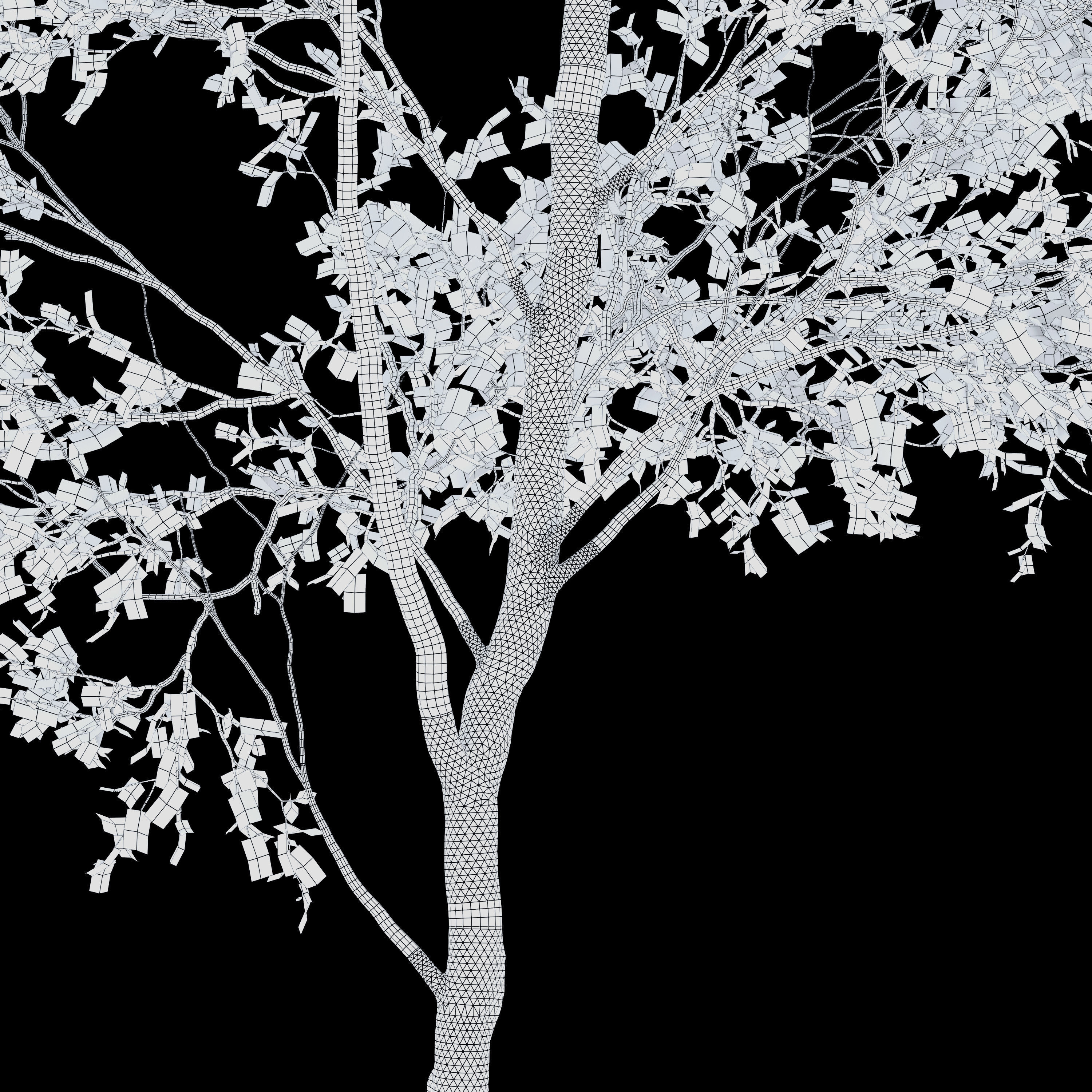Forest trees set 01 3D model | CGTrader
