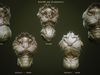 DEMON TORSOS 43 meshes with blendshapes 3D model | CGTrader